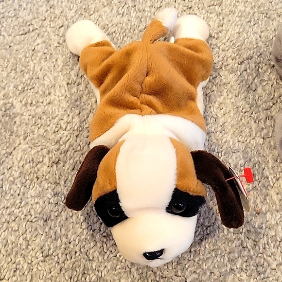 Ty | Toys | Ty Beanie Bernie The Dog | Poshmark